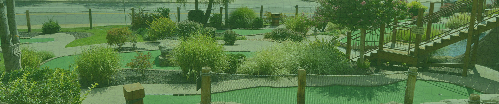 Coupons & Specials - Dinosaur Canyon Golf | Branson Mini Golf